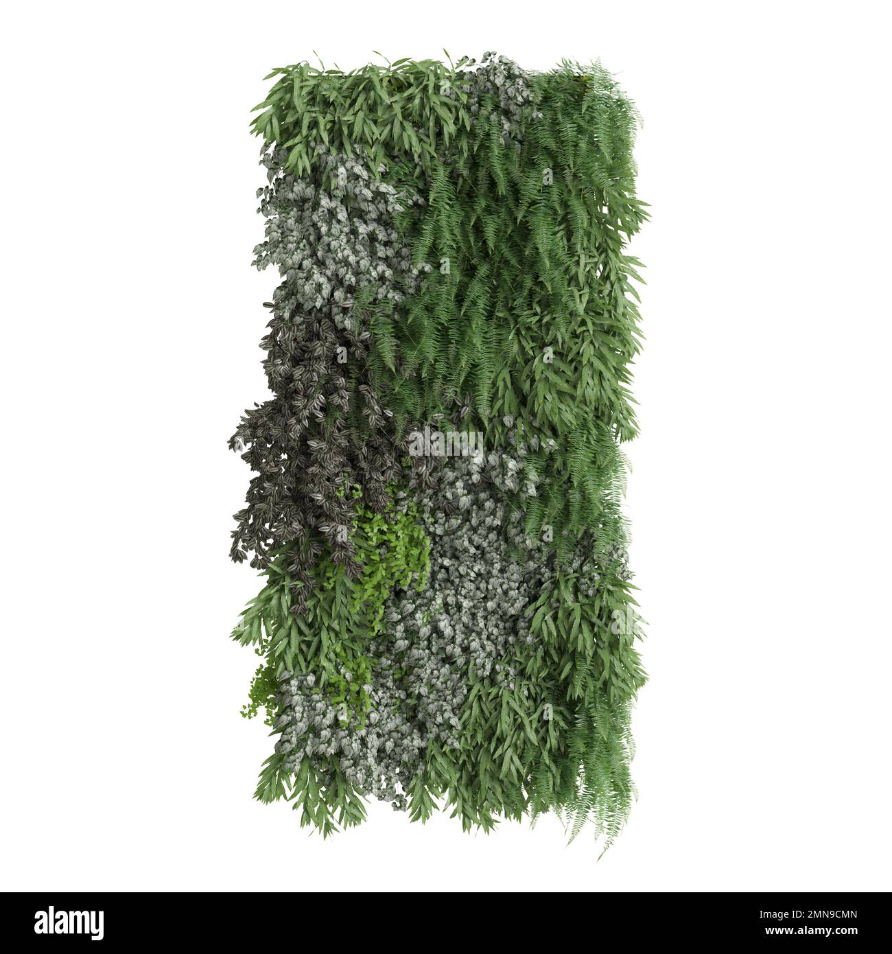 3d illustration of wall tree isolated on white background Stock Photo ...