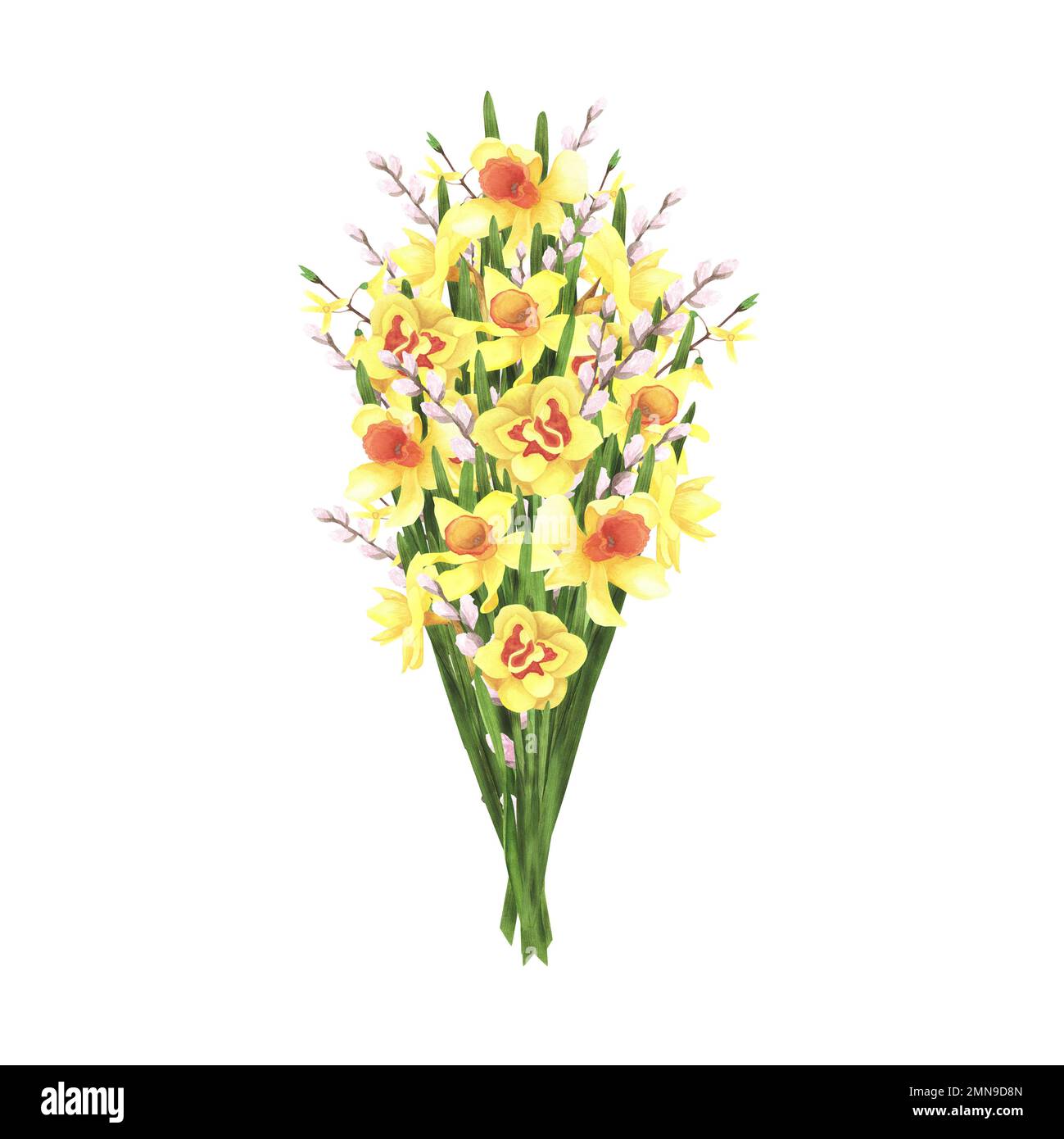 Bouquet Of Daffodils Drawing