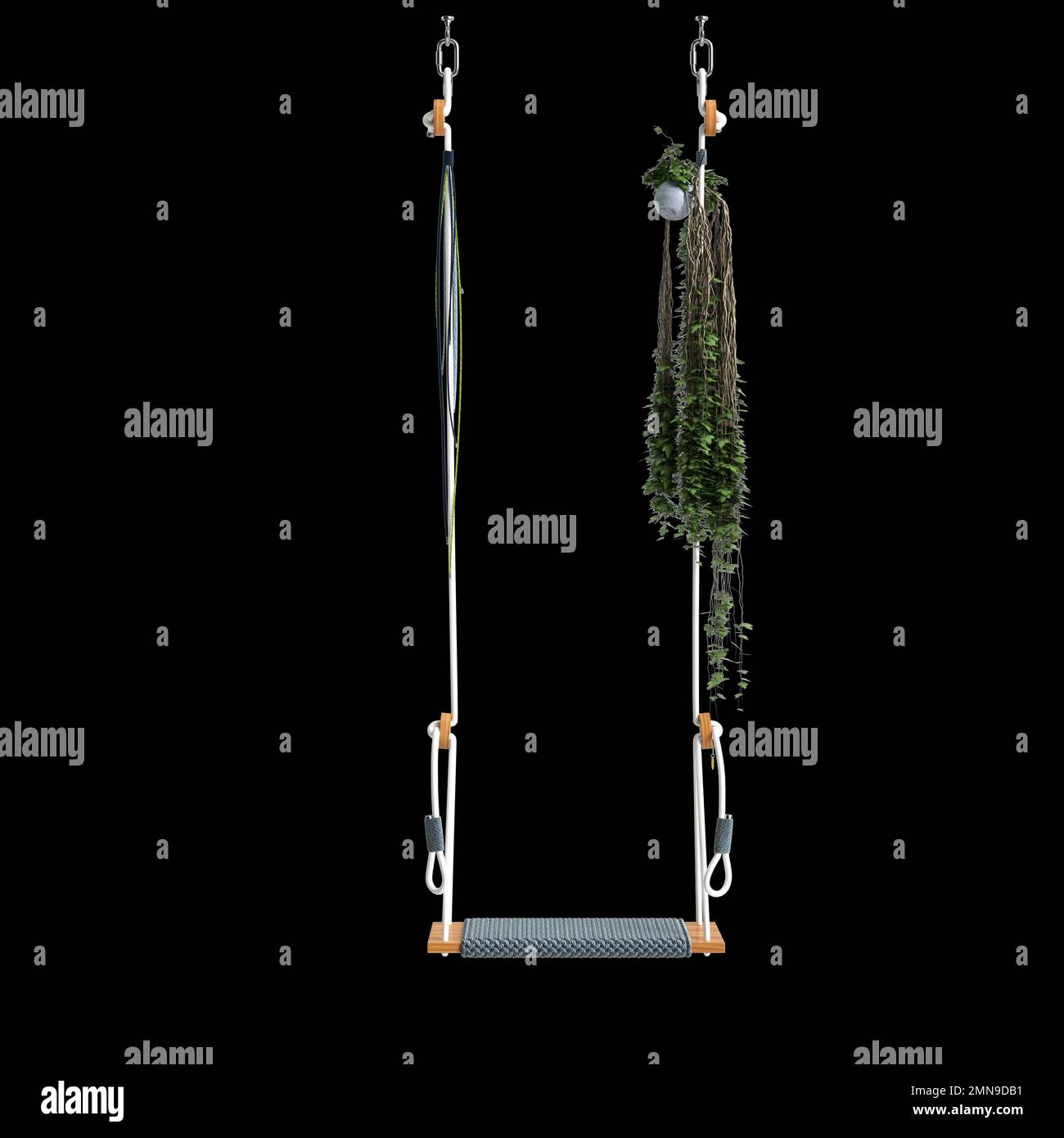 3d illustration of swing with plant isolated on black background Stock ...