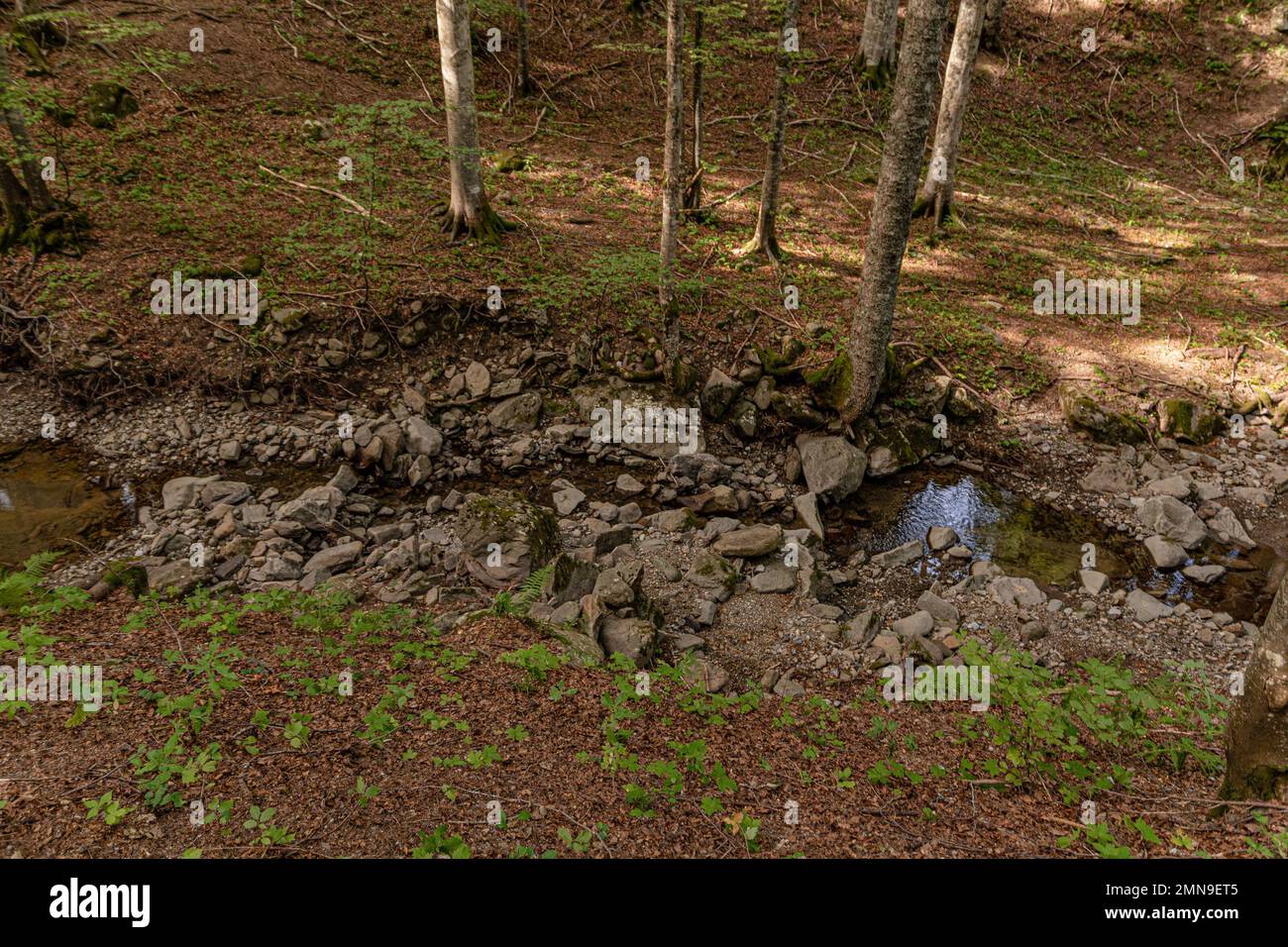 Streaming flow hi-res stock photography and images - Alamy