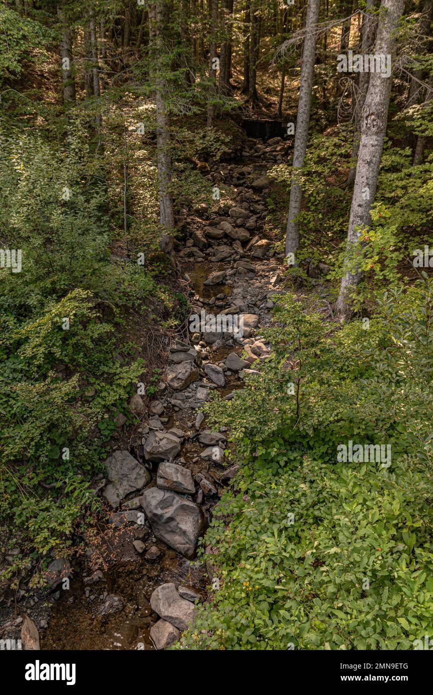 Woodland waterway hi-res stock photography and images - Alamy