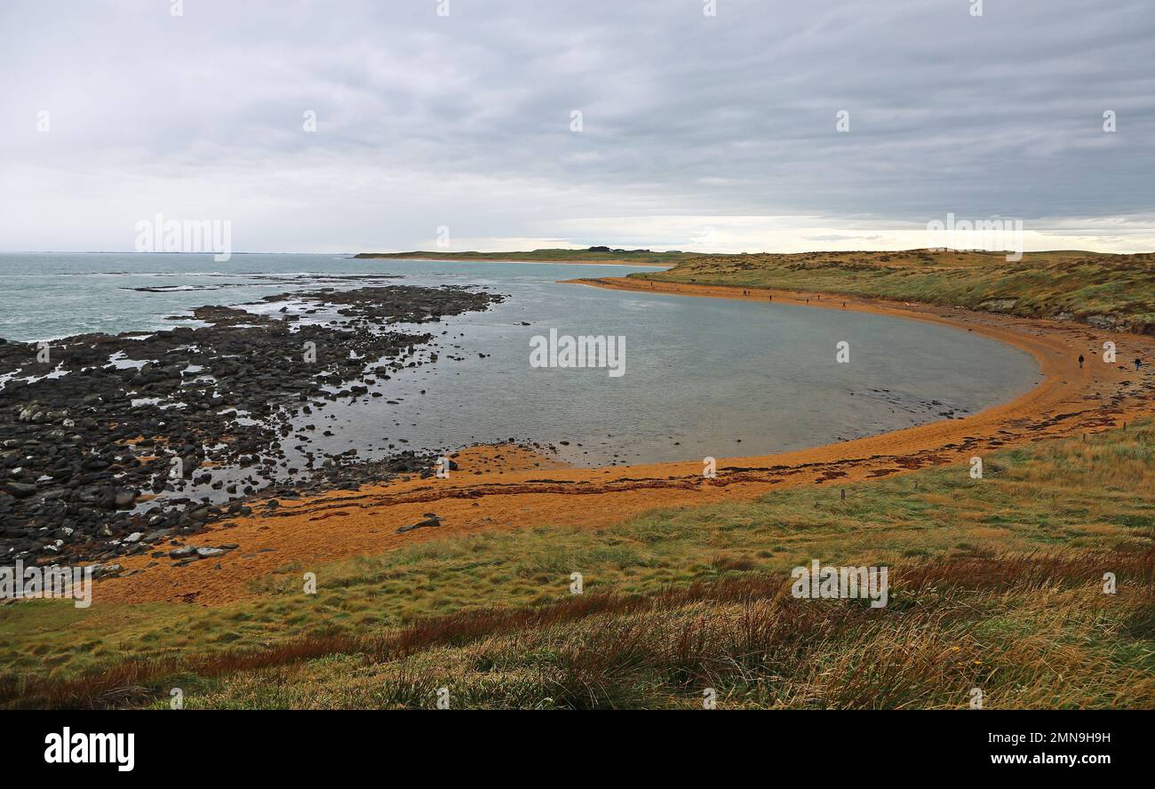 Waipapa hi-res stock photography and images - Alamy