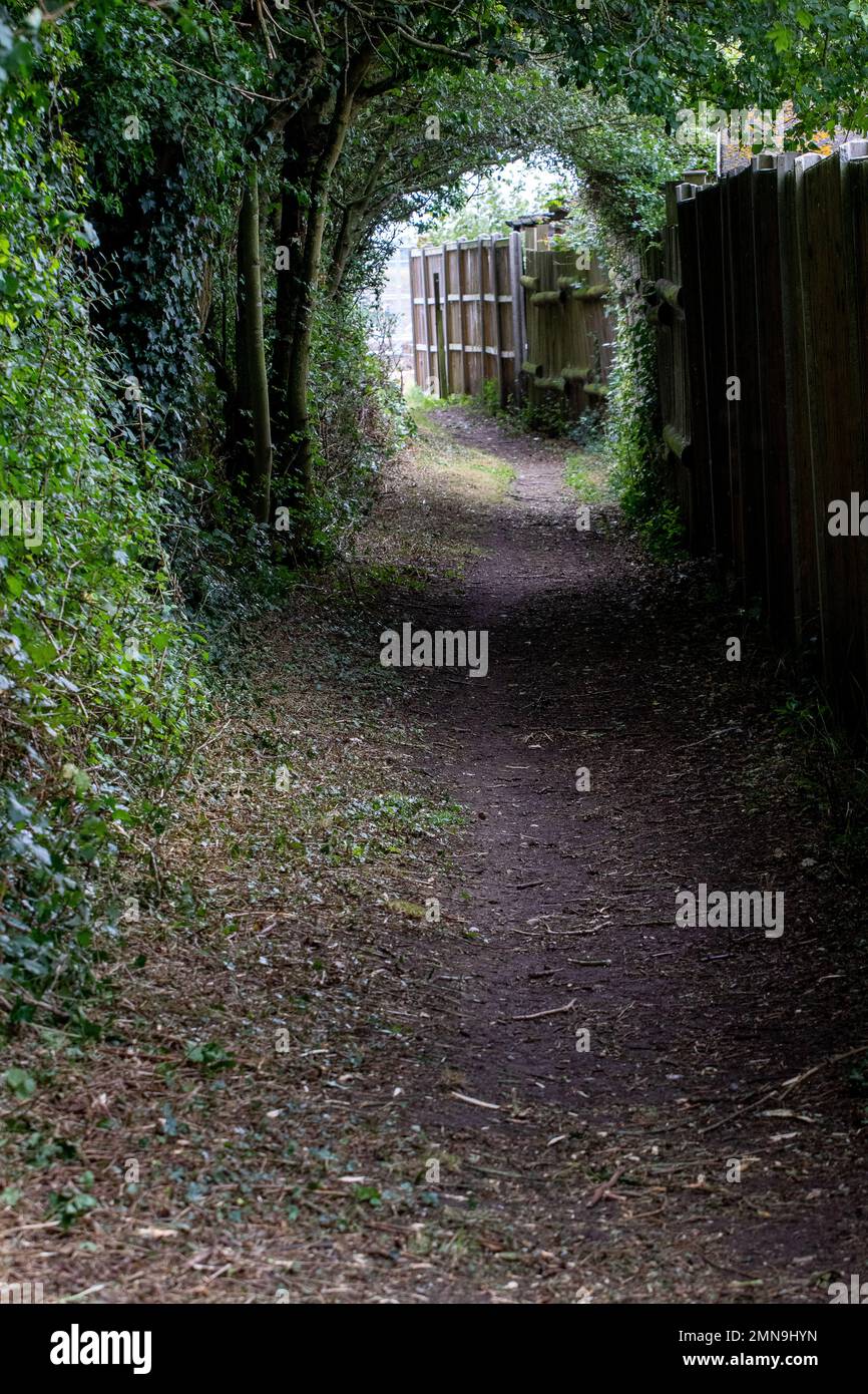 Footpath in Framlingham Suffolk overhung by greenery and looking both ...