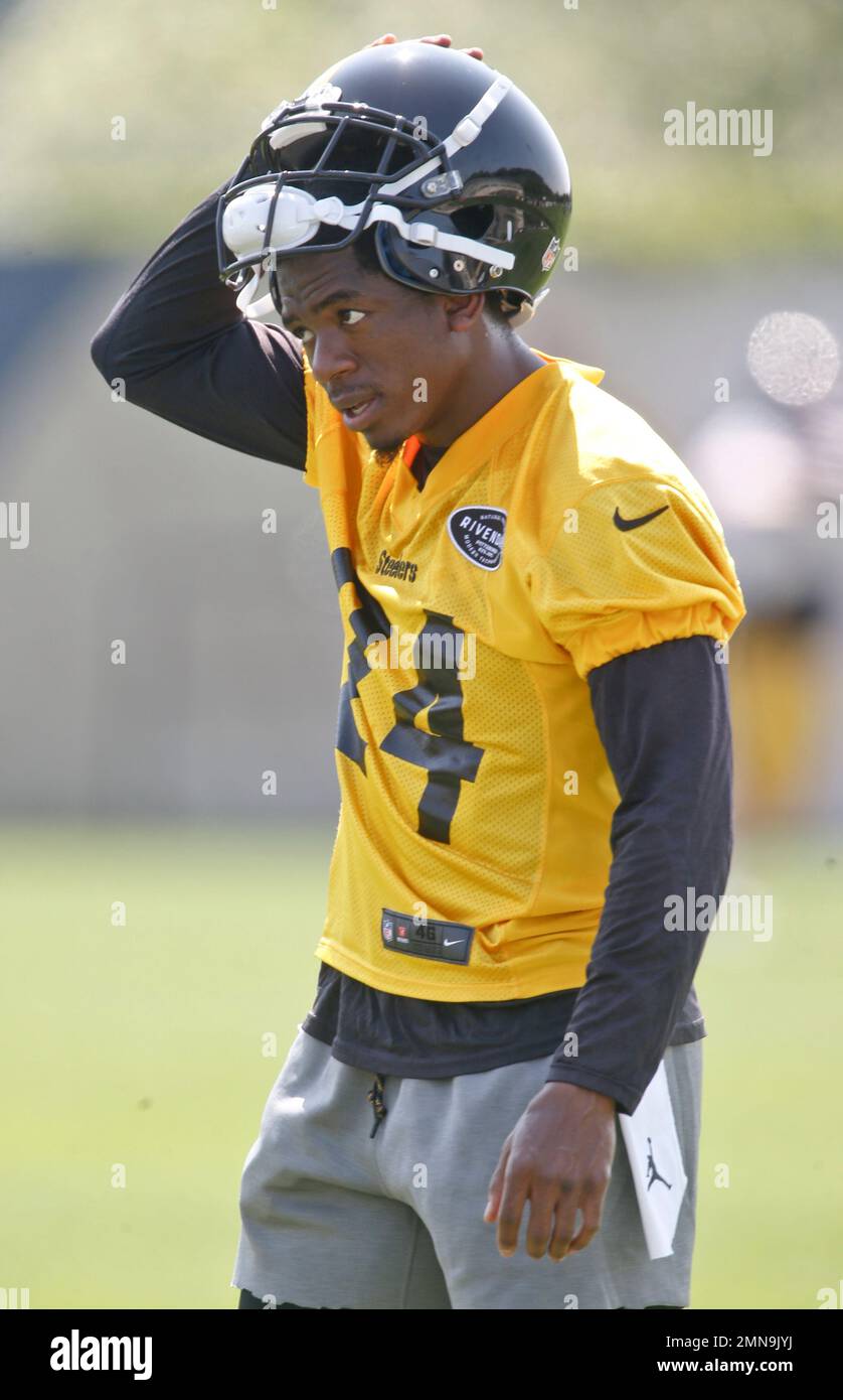 Pittsburgh Steelers defensive back Coty Sensabaugh (24) during NFL ...