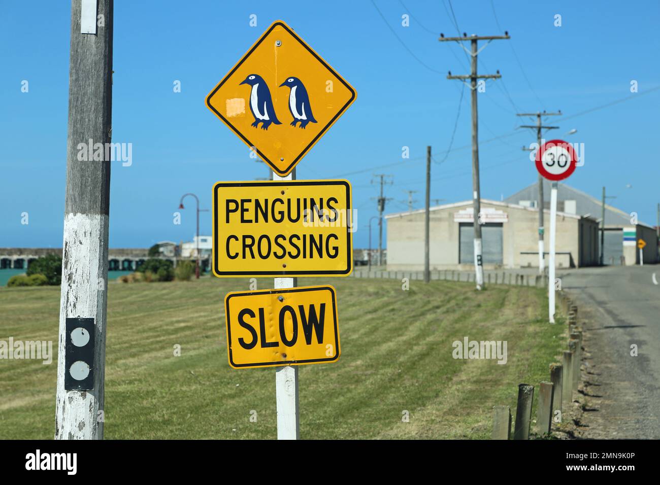 Penguin sign - New Zealand Stock Photo - Alamy