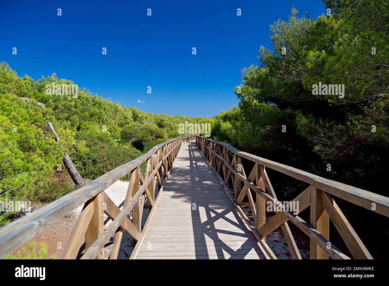 The wooden footbridge to the Beach during a sunny summer day on ...