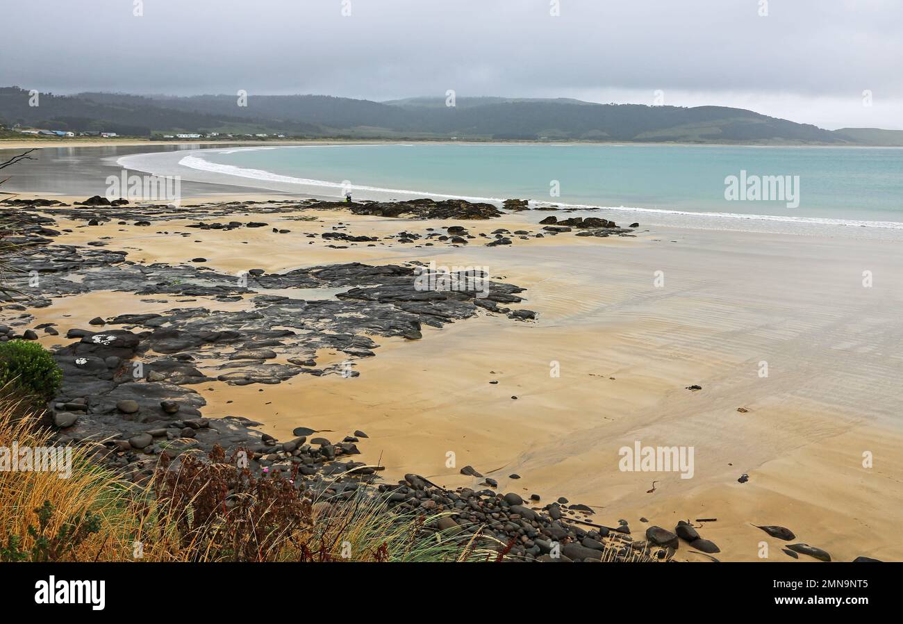 Curio bay new zealand hi-res stock photography and images - Alamy