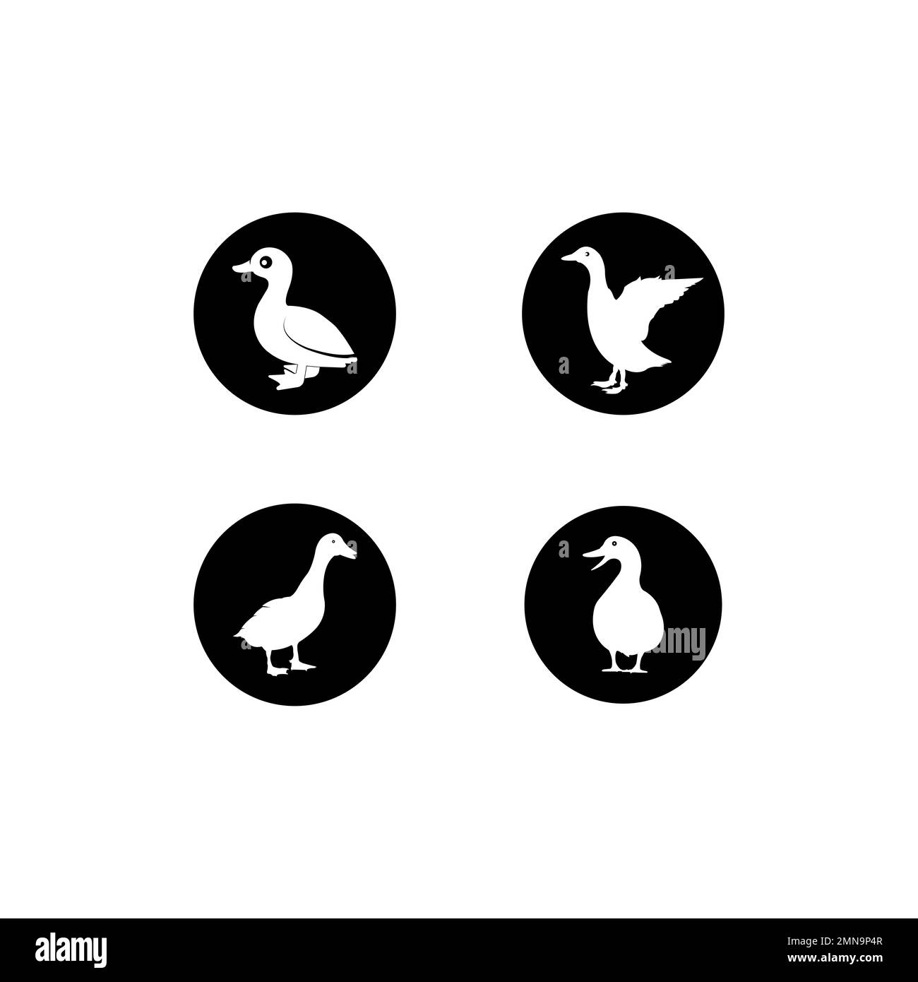 Duck Dynasty Logo Vector