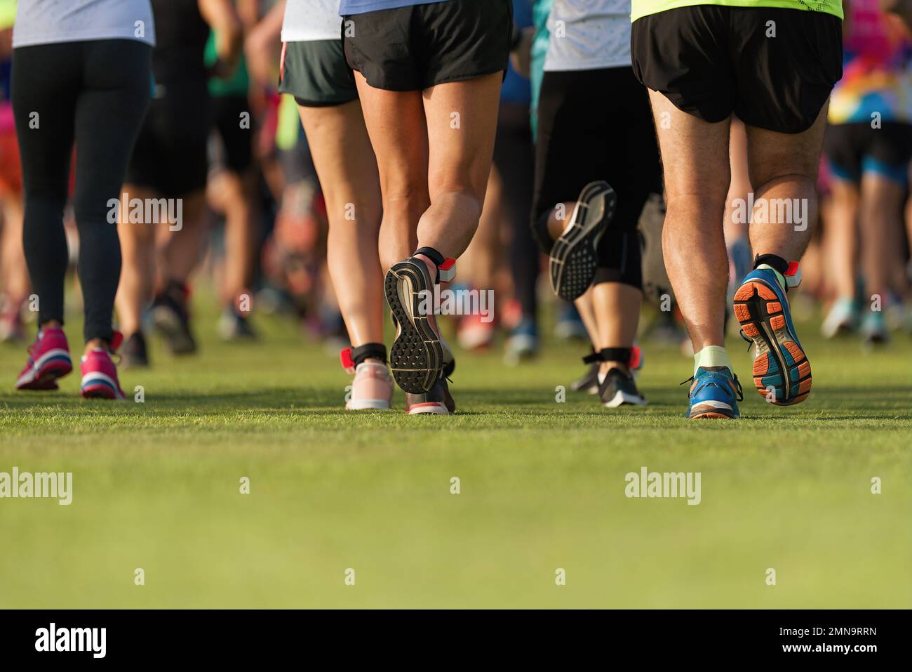 Marathon running race, people run feet on the lawn Stock Photo - Alamy