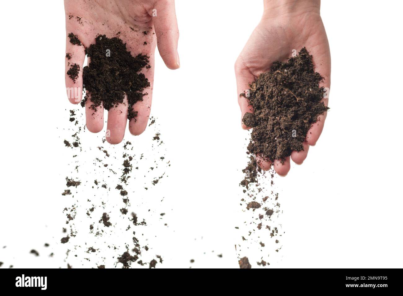 Brown soil in woman hands isolated on white background. The soil falls ...