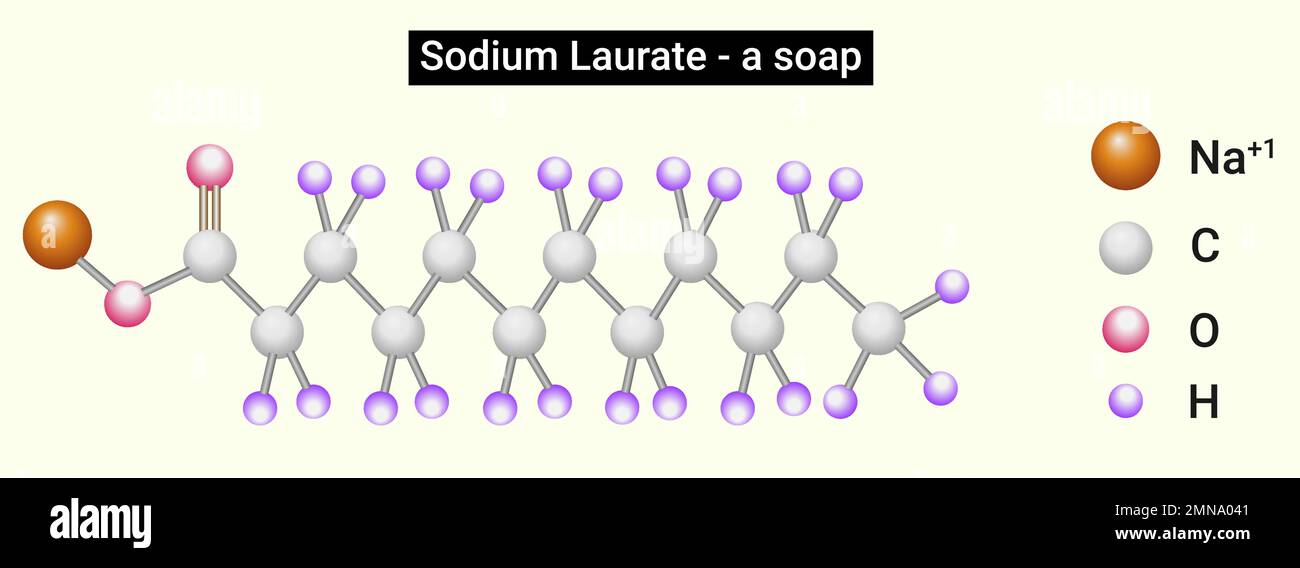 Structure of Sodium Laurate (soap Stock Vector Image & Art - Alamy