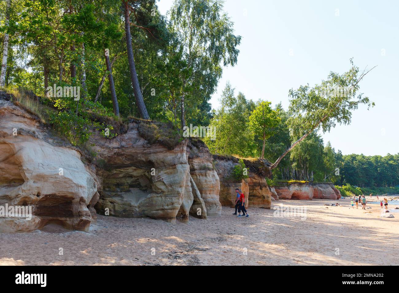 Veczemju klintis (Veczemju cliffs) on Baltic sea near Tuja, Latvia in ...