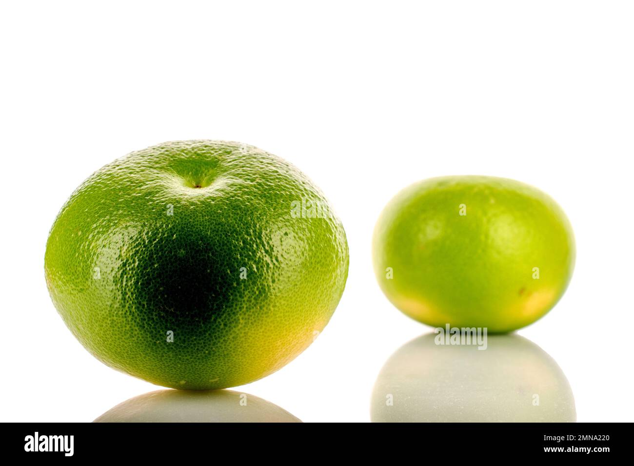 Two natural juicy Citrus Sweetie, close-up, on a white background Stock ...