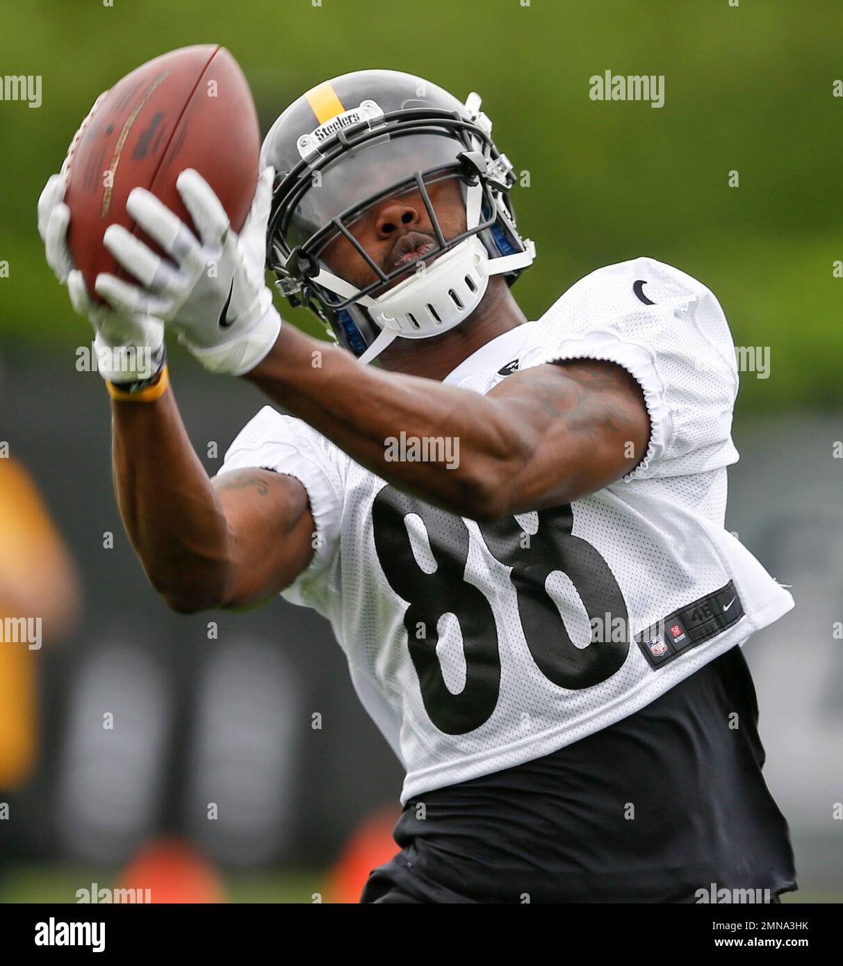 Pittsburgh Steelers wide receiver Darrius Heyward-Bey (88) during NFL ...