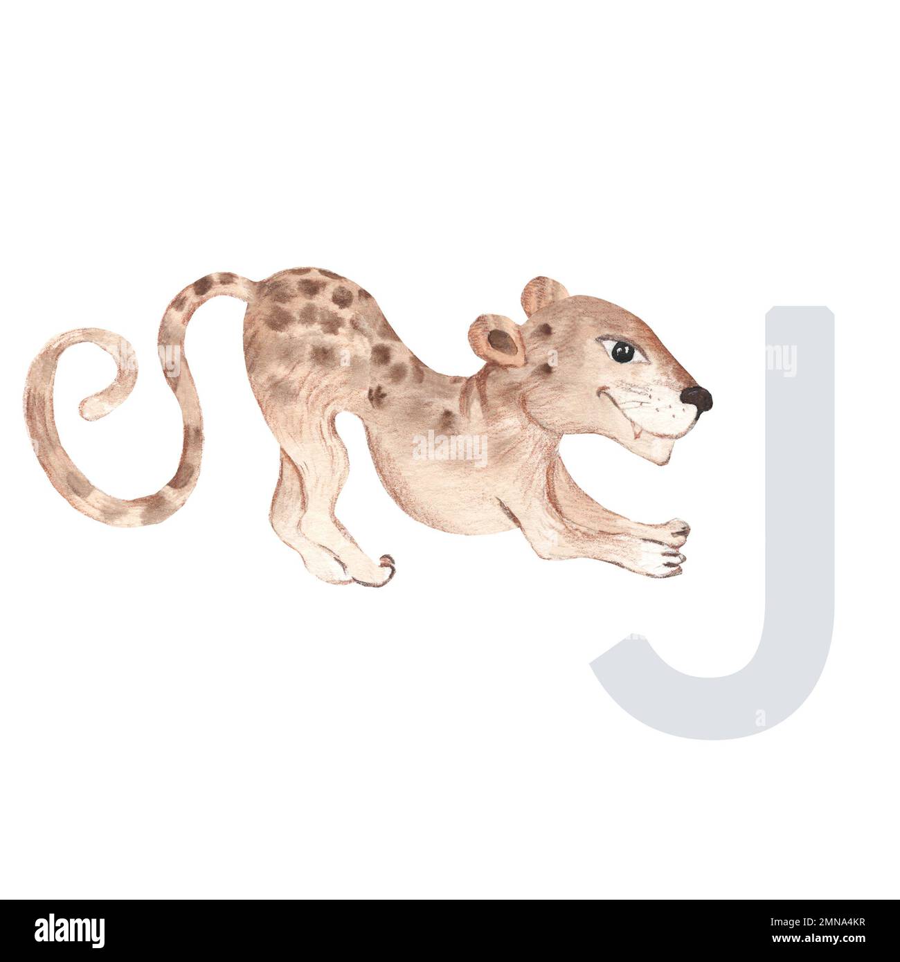 Letter J, jaguar, kids animals ABC alphabet. Watercolor illustration ...