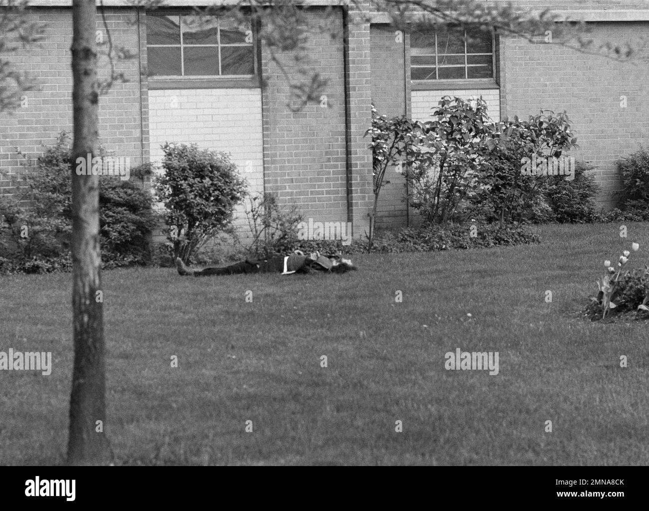A man identified as 21-year-old Mark Matays lies on the grass after he ...