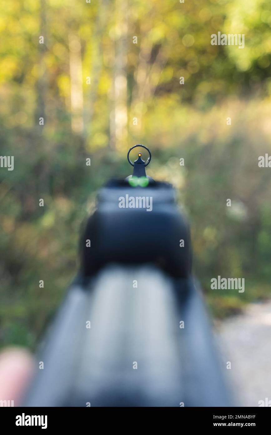 Aiming with an air rifle. Aiming in the forest .The best way to aim ...