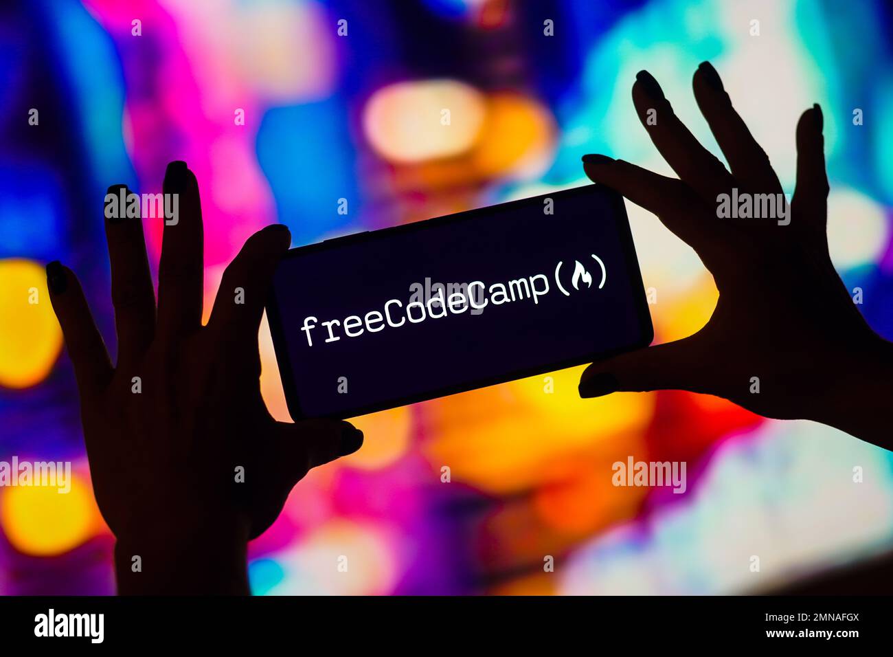 Freecodecamp hi-res stock photography and images - Alamy