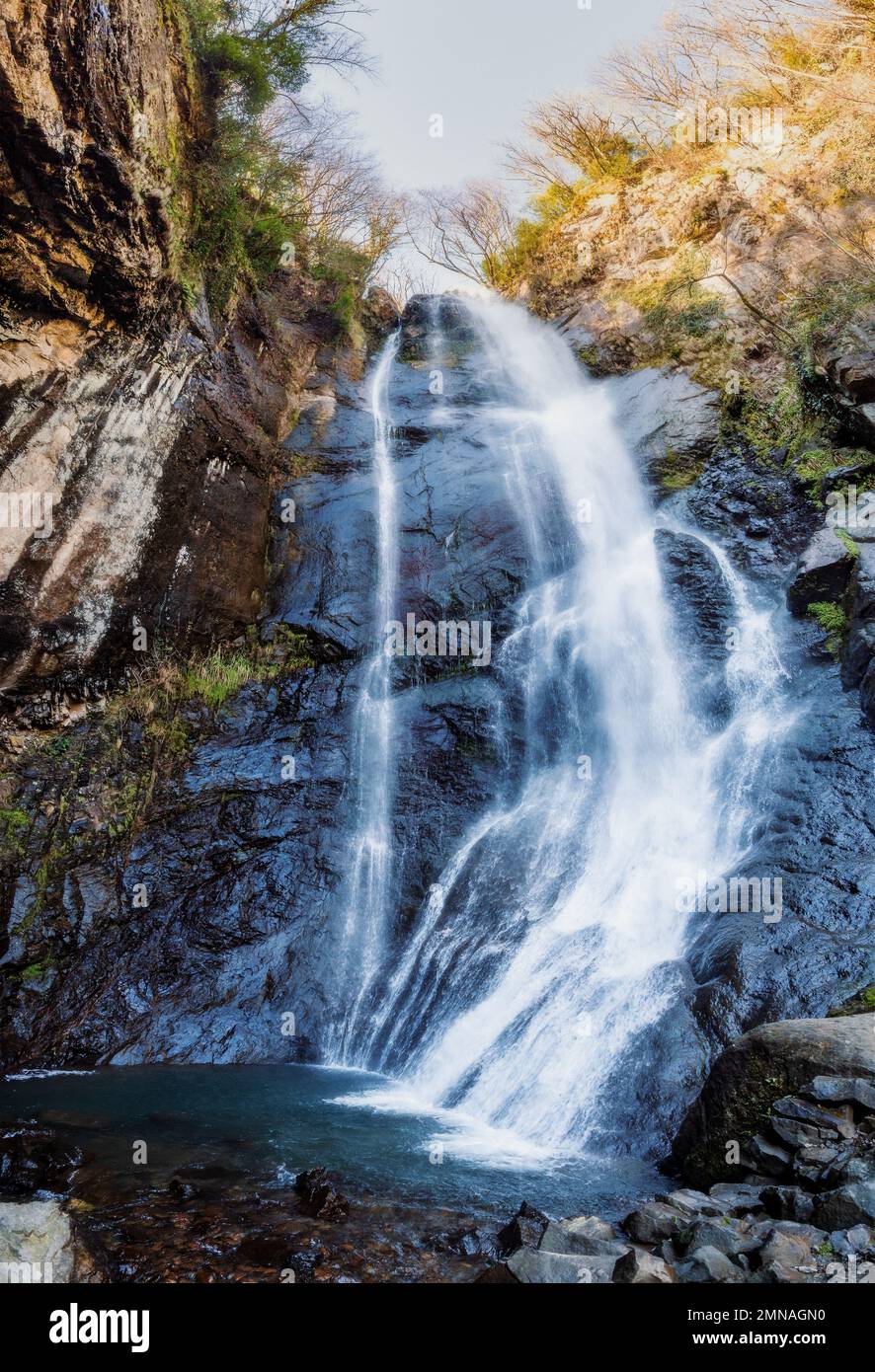 Waterfall in green forest. Mountain cascade river splashing on rock ...