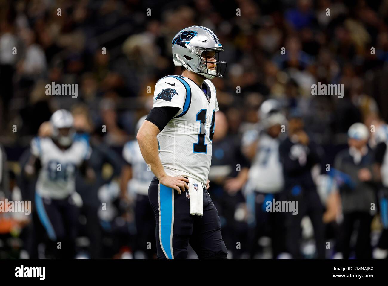 Carolina Panthers quarterback Sam Darnold (14) during an NFL football ...