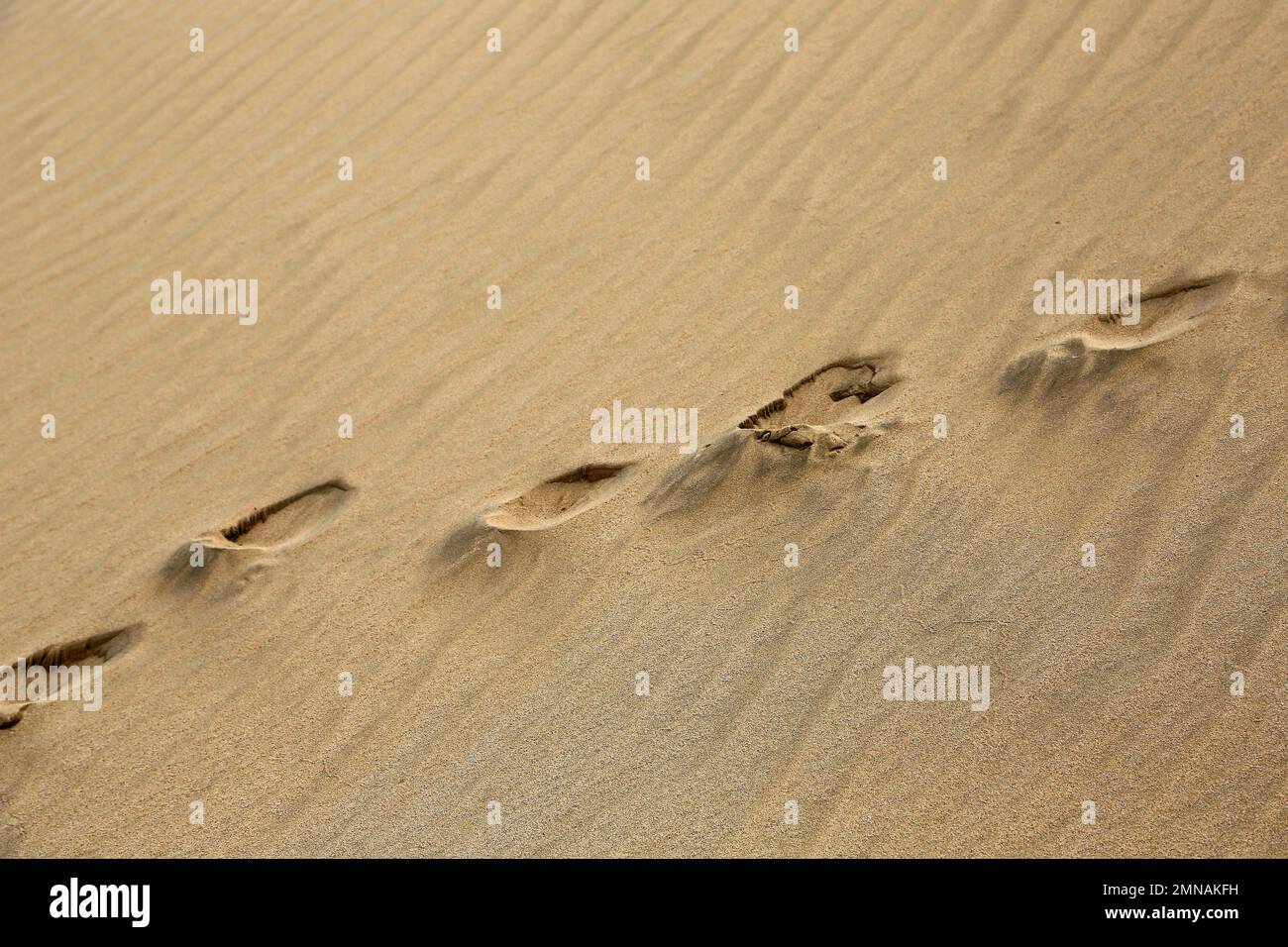 Human tracks hi-res stock photography and images - Alamy