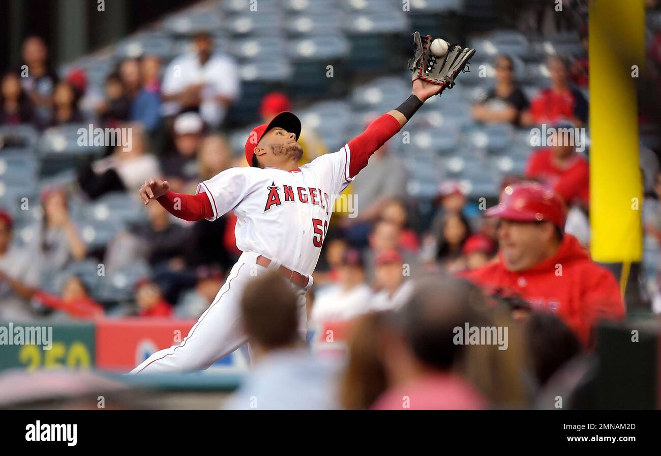 Los Angeles Angels right fielder Michael Hermosillo makes a catch on a ...