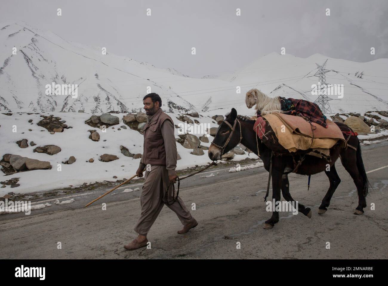 In this May 9, 2018 photo, a Kashmiri nomadic Bakarwal Mukhtar Khan ...