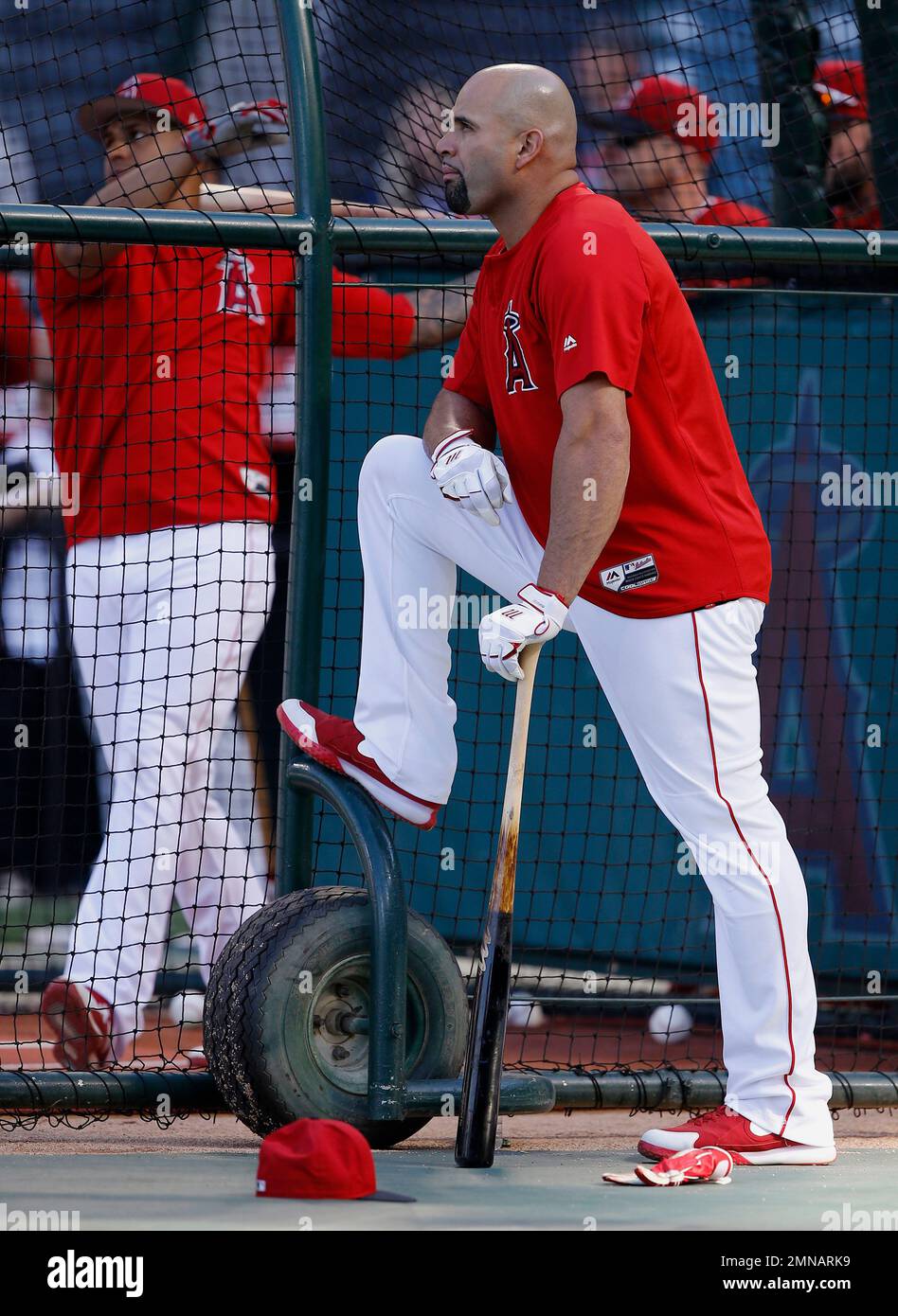 Los Angeles Angels' Albert Pujols waits his turn to hit during warmups ...