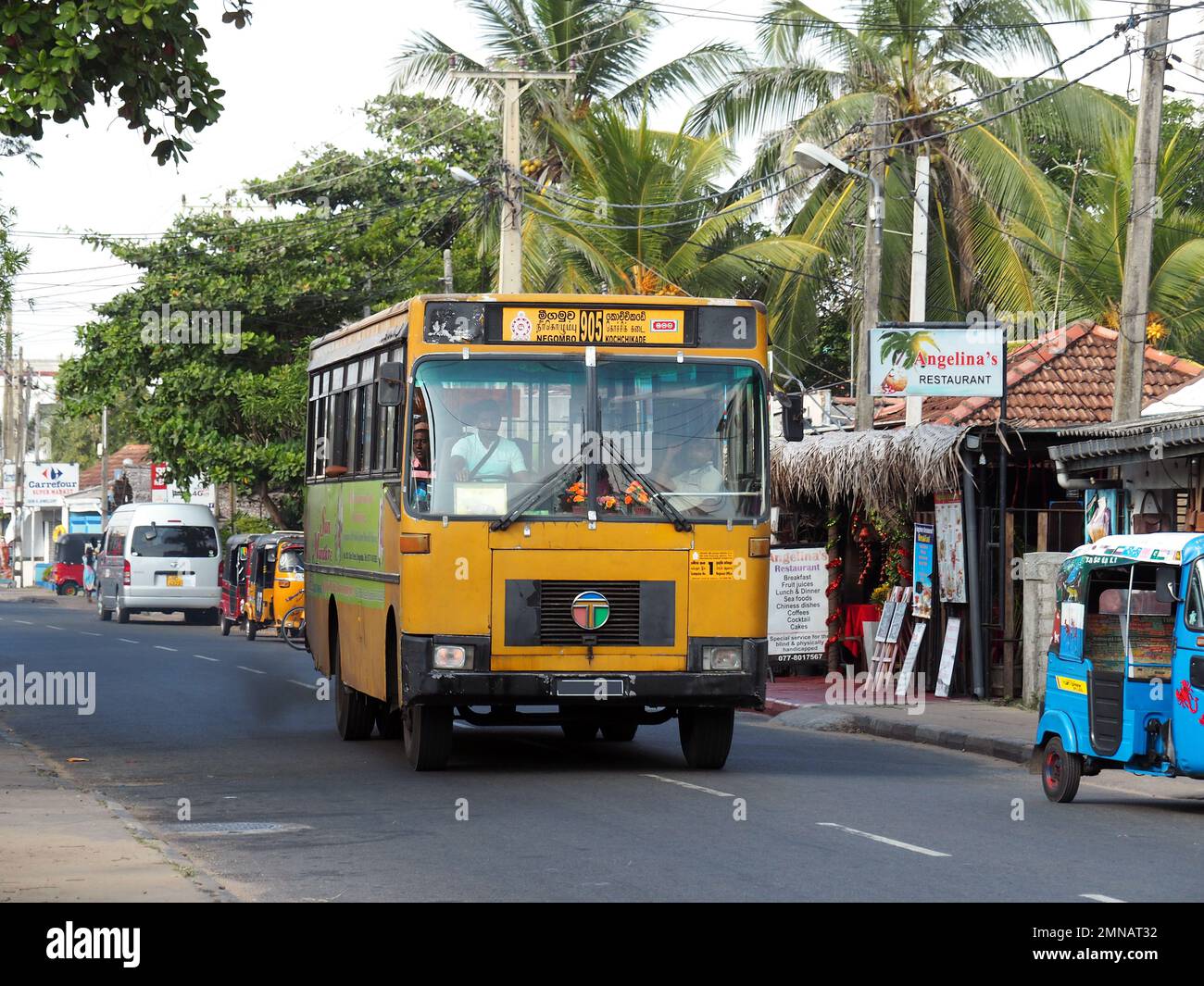 Tata bus, public transport, Negombo city, Western Province, Srí Lanka ...