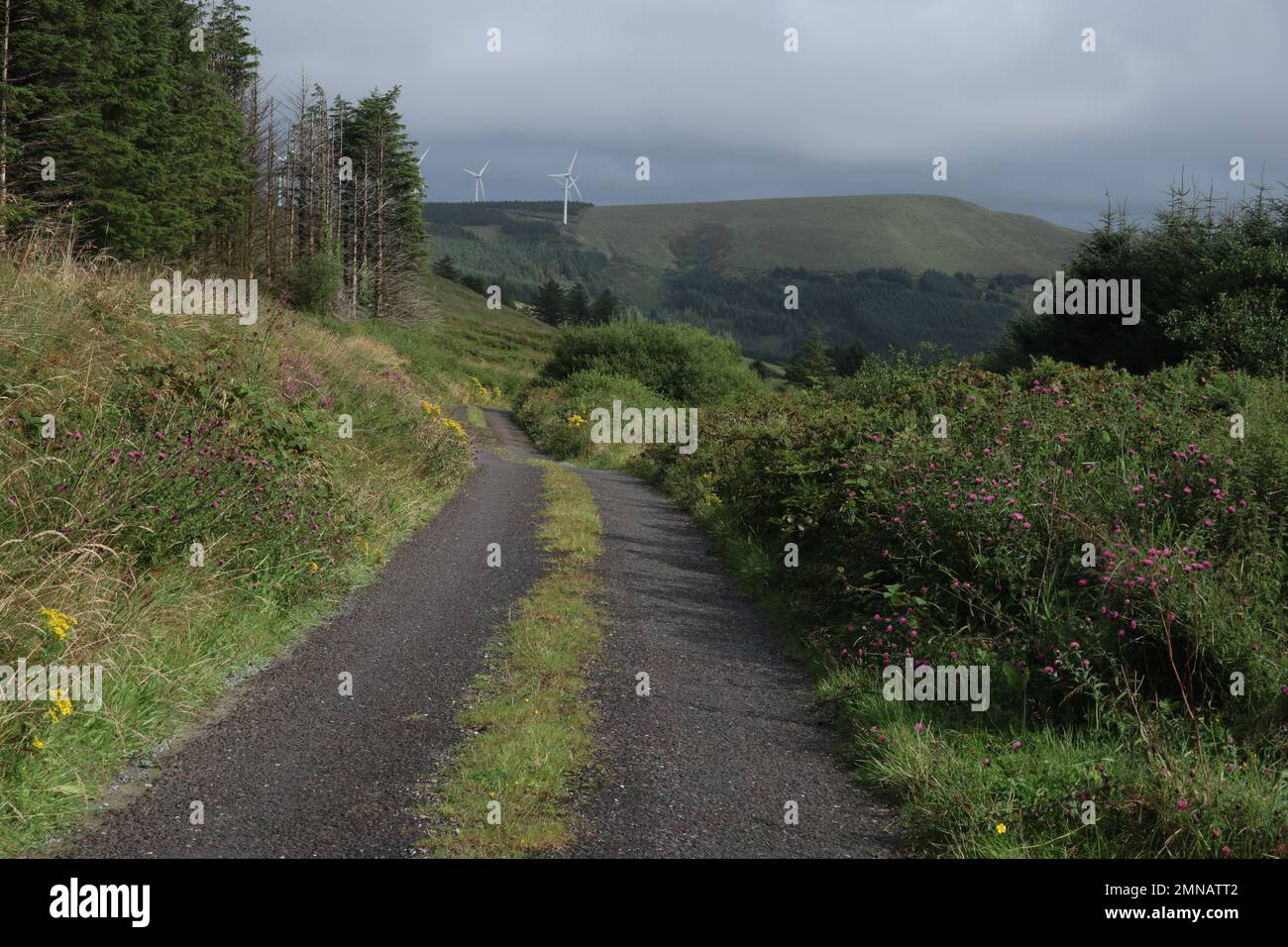 Countryside around CastleIsland and Mount Eagle - County Kerry ...