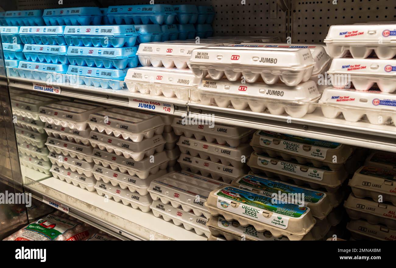 Egg cartons stacked in a store for sale in a store in Pittsburgh ...