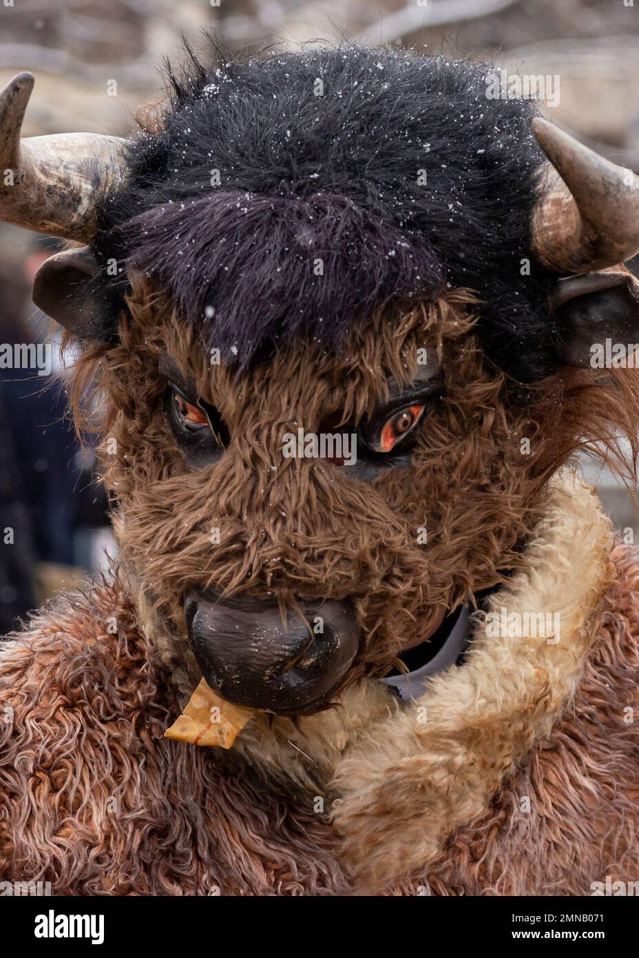 Bison masks hi-res stock photography and images - Alamy