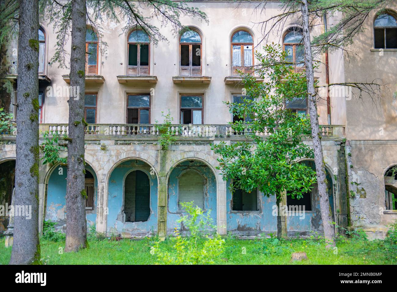 Thickets in the ruins hi-res stock photography and images - Alamy