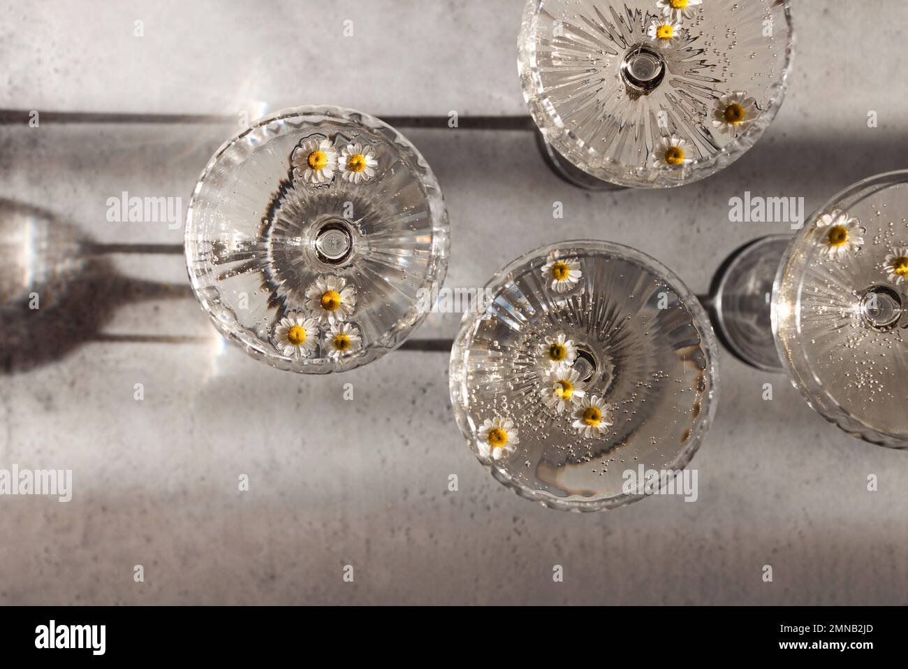 Four glasses with champagne on a light table surface reflecting soft ...