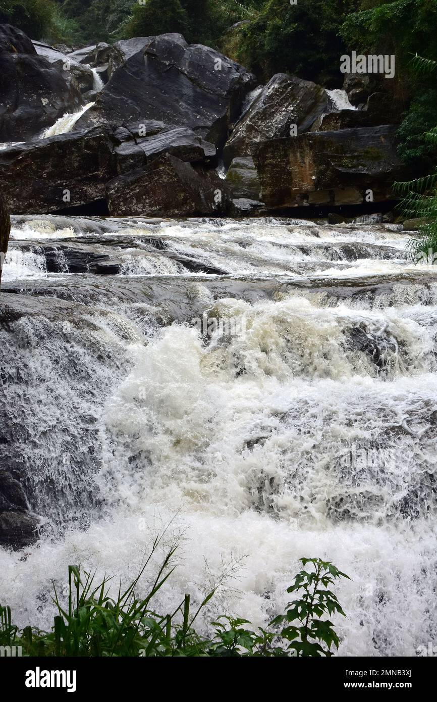 Pussellawa hi-res stock photography and images - Alamy