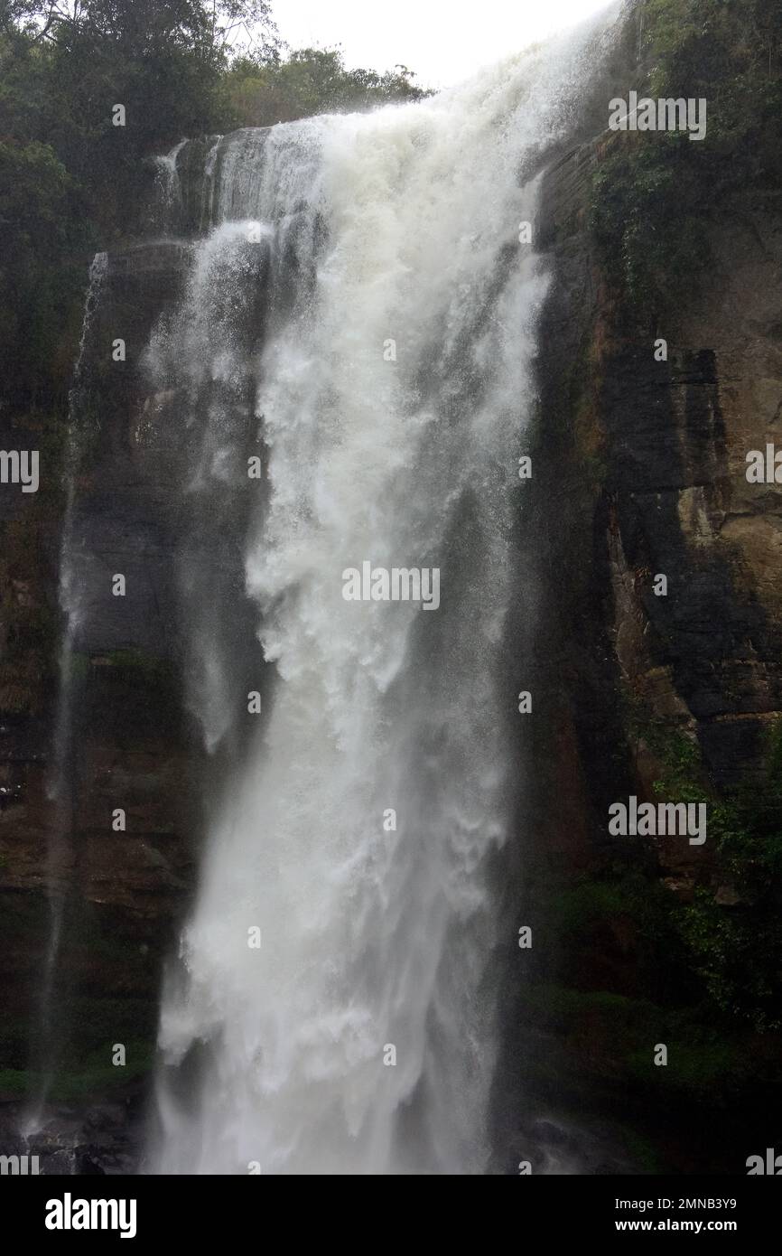 Pussellawa hi-res stock photography and images - Alamy