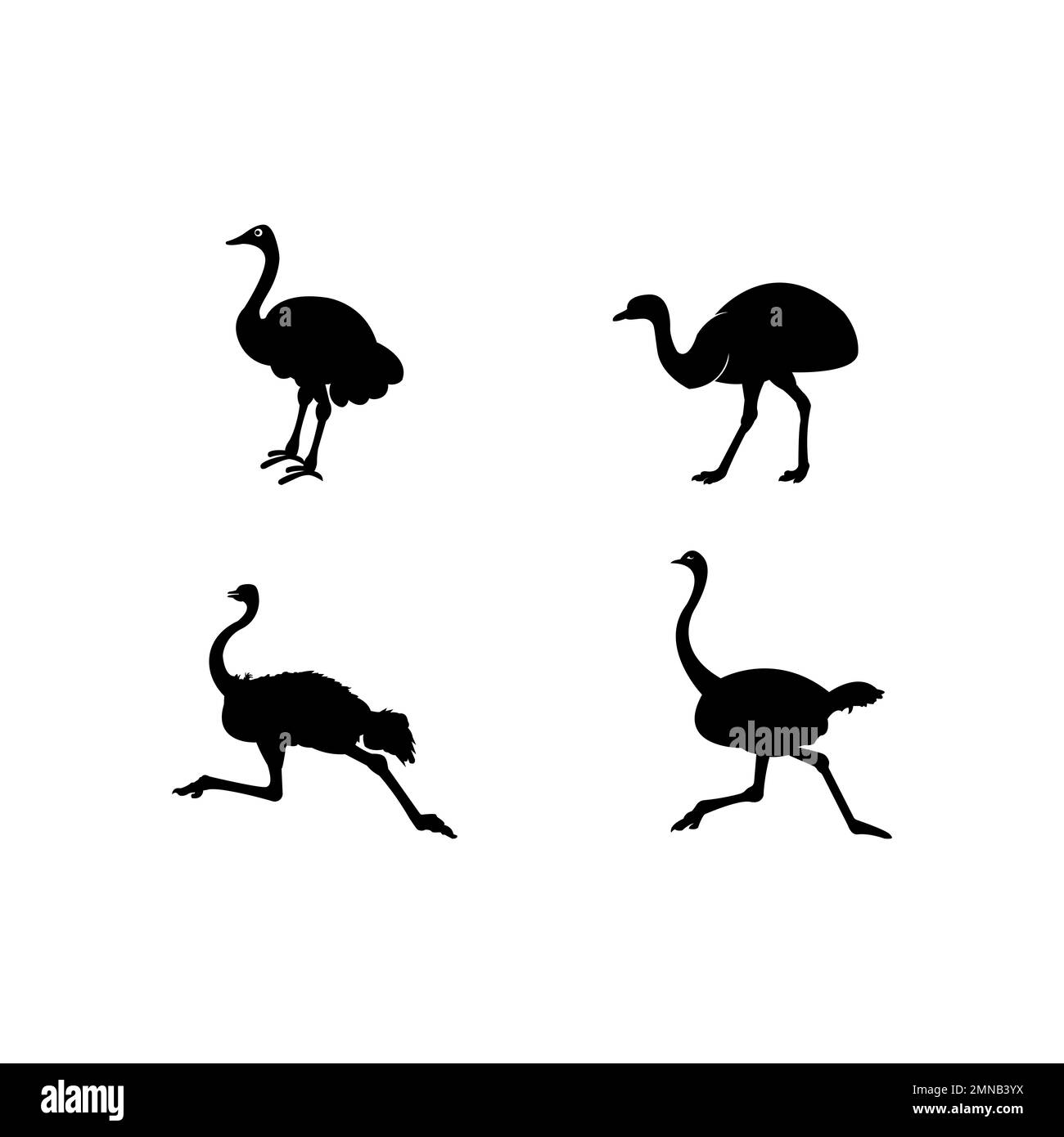 ostrich icon vector illustration simple design Stock Photo - Alamy