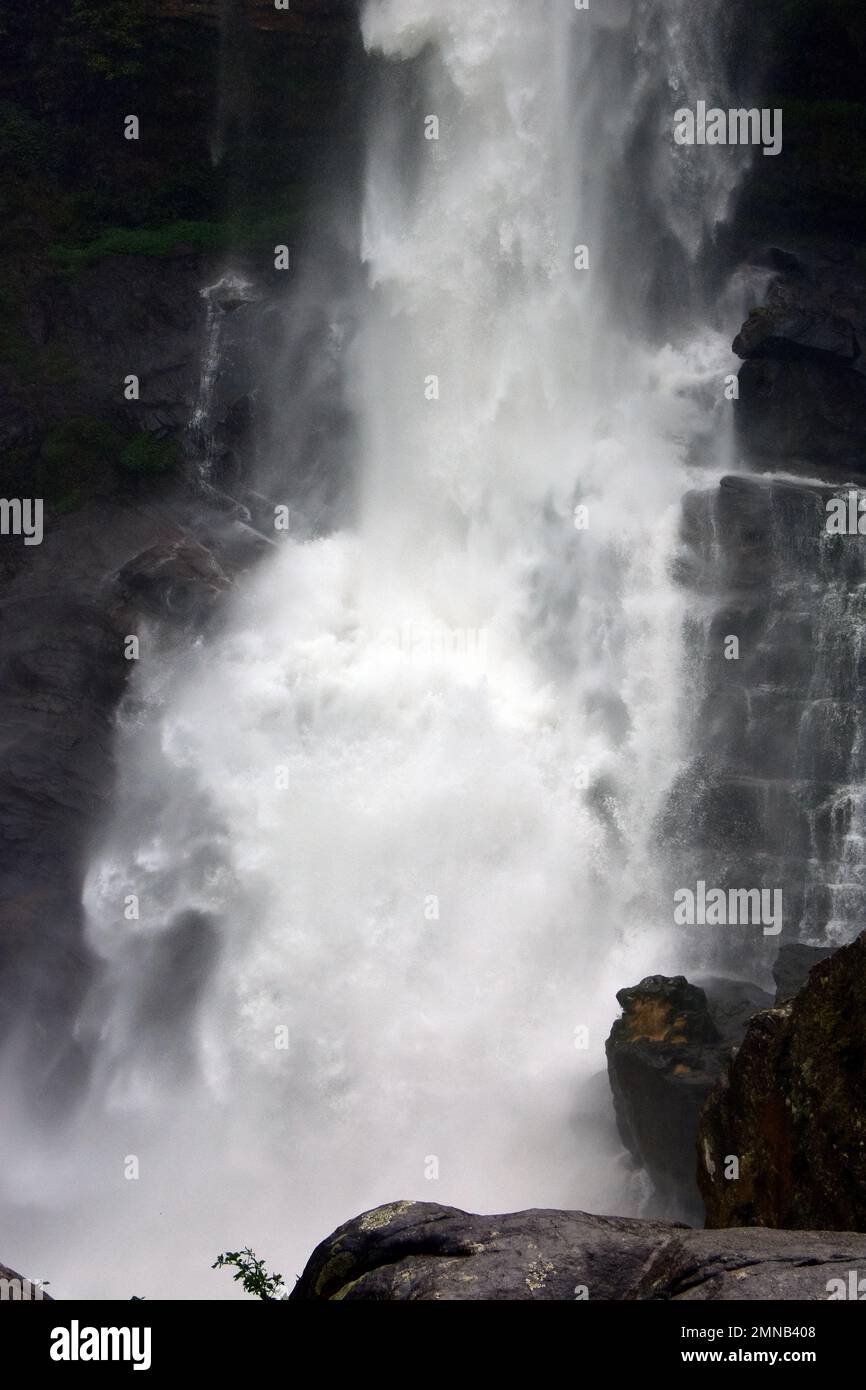 Pussellawa hi-res stock photography and images - Alamy