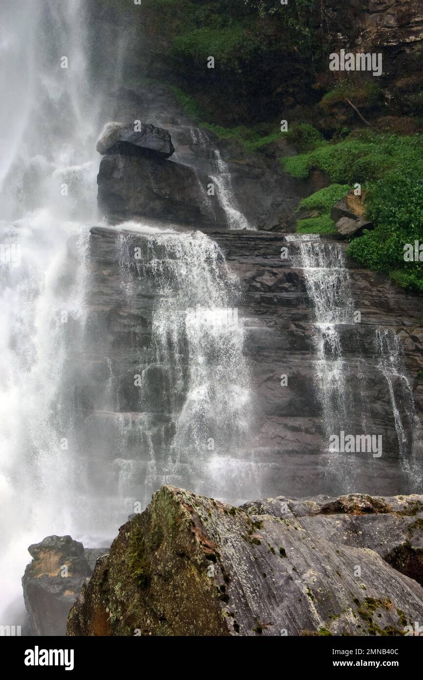 Pussellawa hi-res stock photography and images - Alamy