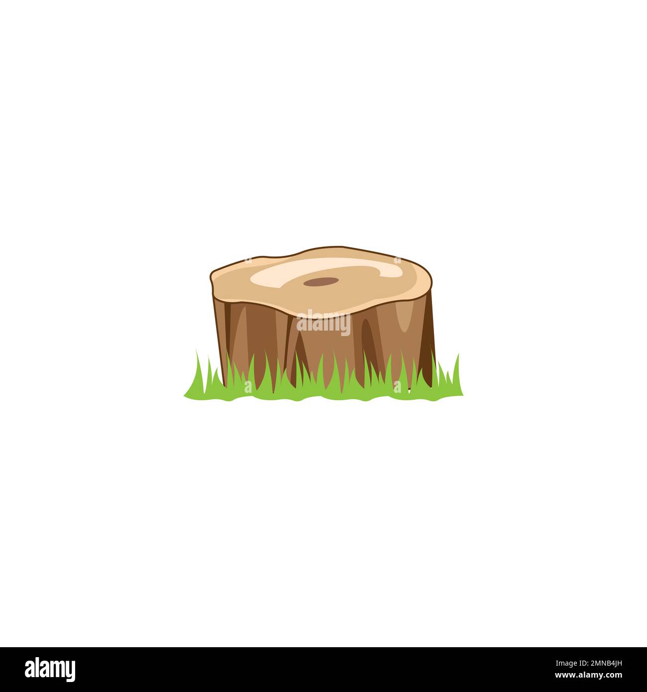 Textured tree trunk Cut Out Stock Images & Pictures - Alamy