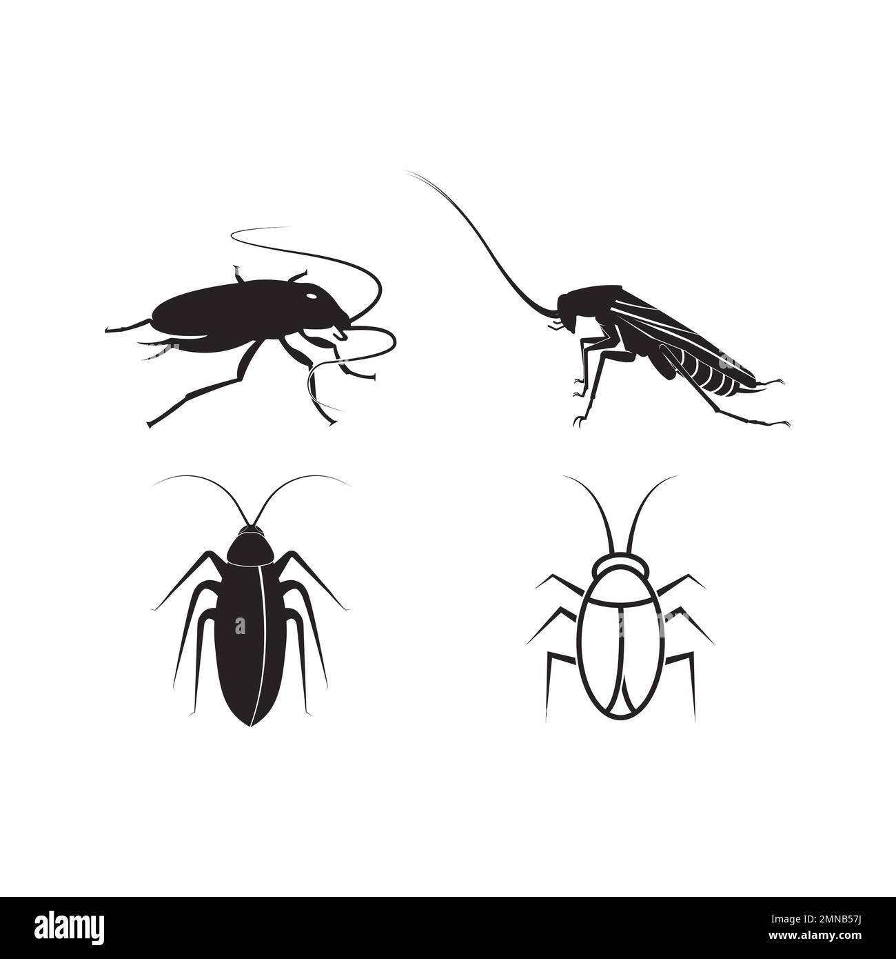 Cockroach vector icon illustration logo design Stock Photo - Alamy