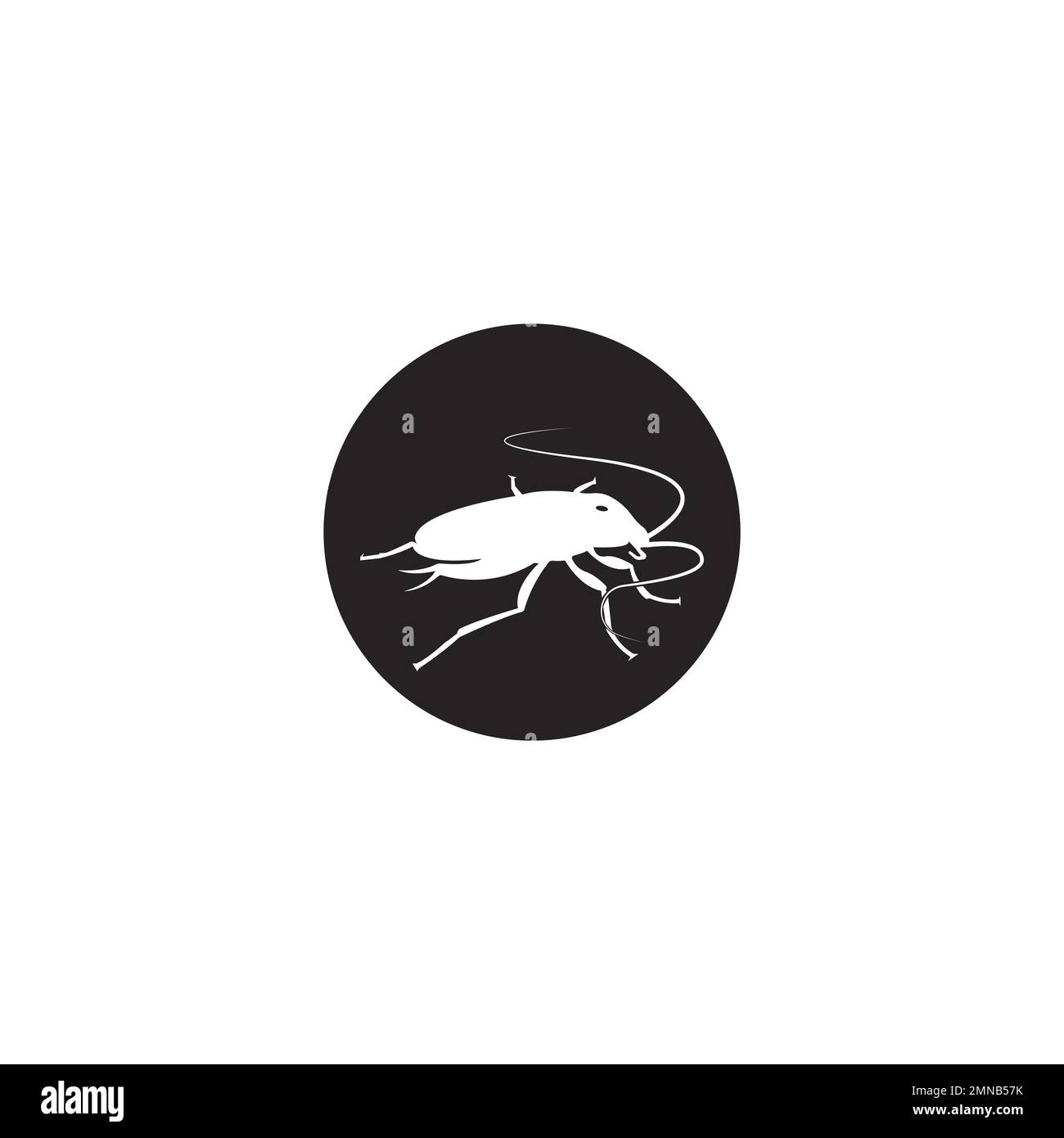 Cockroach drawing hi-res stock photography and images - Alamy
