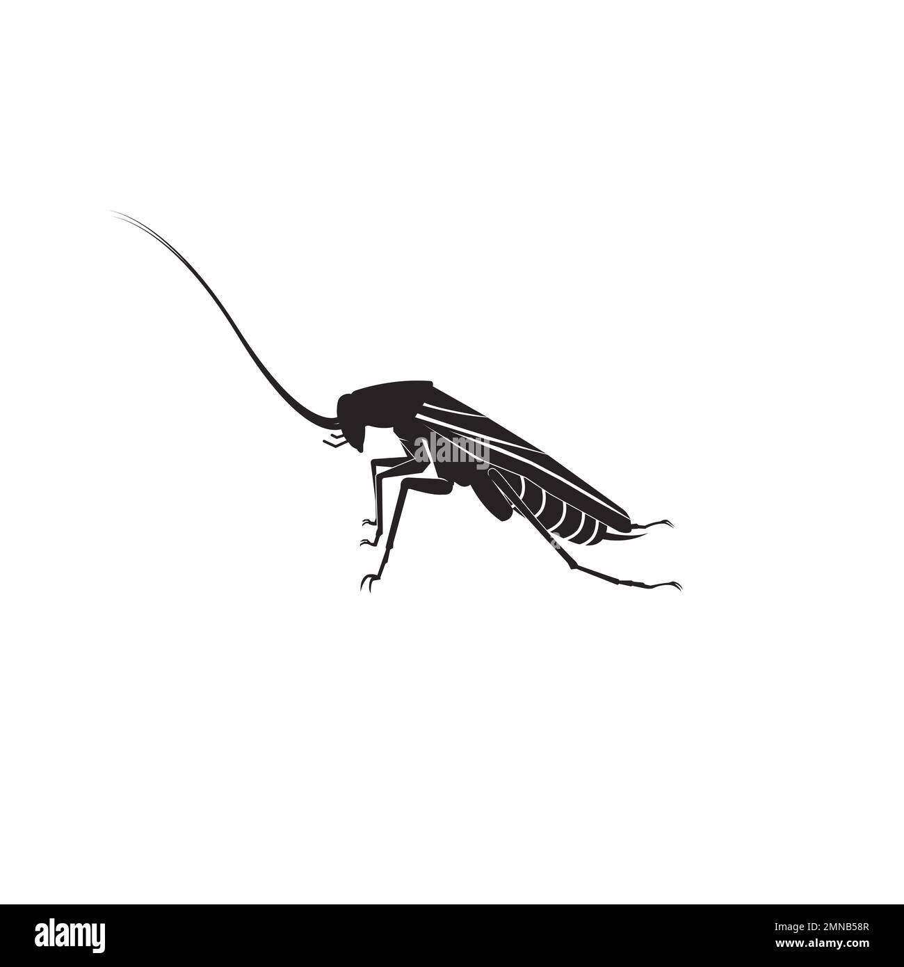 Cockroach vector icon illustration logo design Stock Photo - Alamy