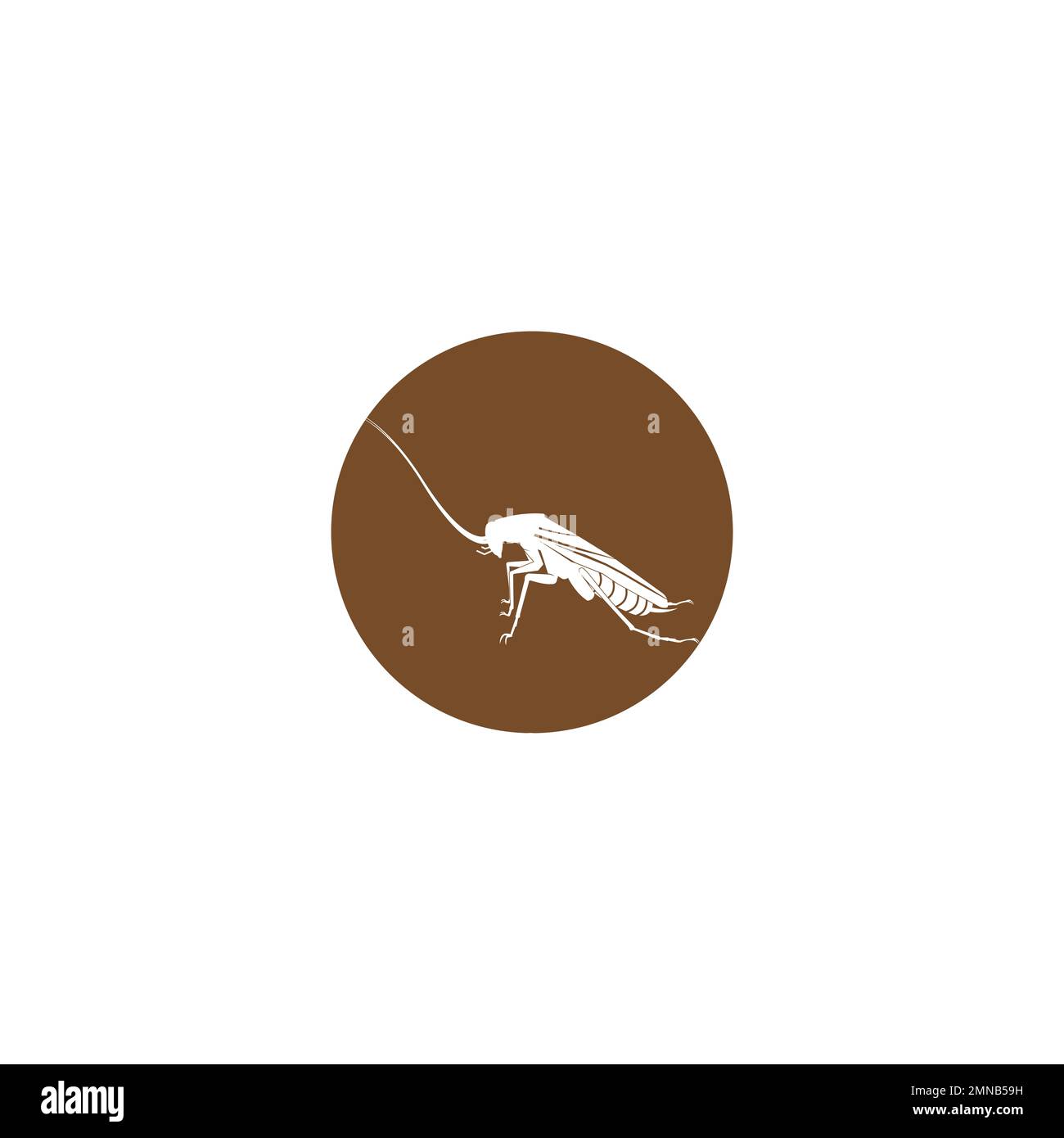 Cockroach vector icon illustration logo design Stock Photo - Alamy