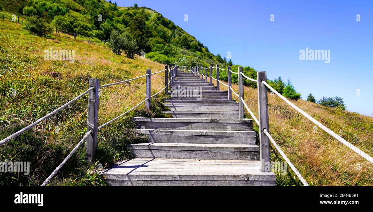 wooden walking pathway in puy-de-dome french mountain chain volcano in ...