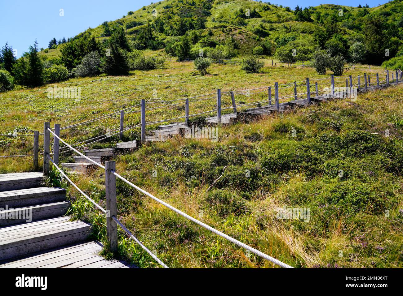 walking pathway in puy-de-dome french mountain chain volcano in summer ...