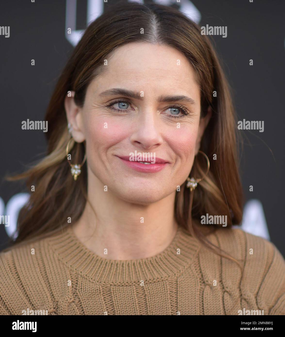Amanda Peet, a cast member in "Brockmire," arrives at a For Your ...