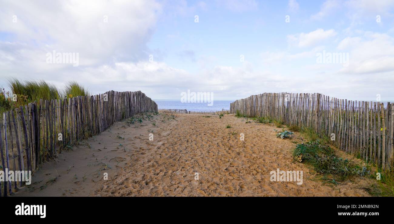 pathway dunes access of sand beach Fouras charente France Stock Photo ...