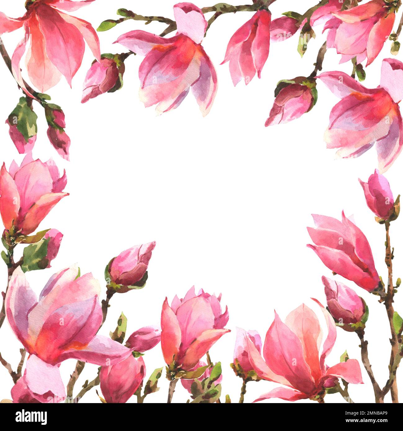 Watercolor frame with branches of pink magnolia, template with empty ...