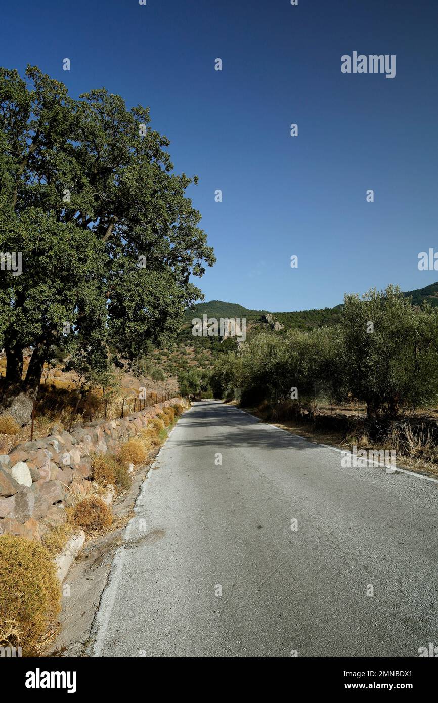 Straight road roadside hi-res stock photography and images - Alamy